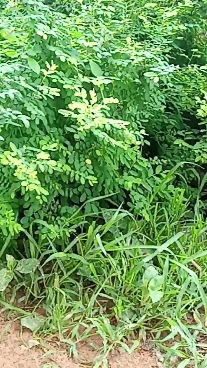 11 July 2024 - YouTube