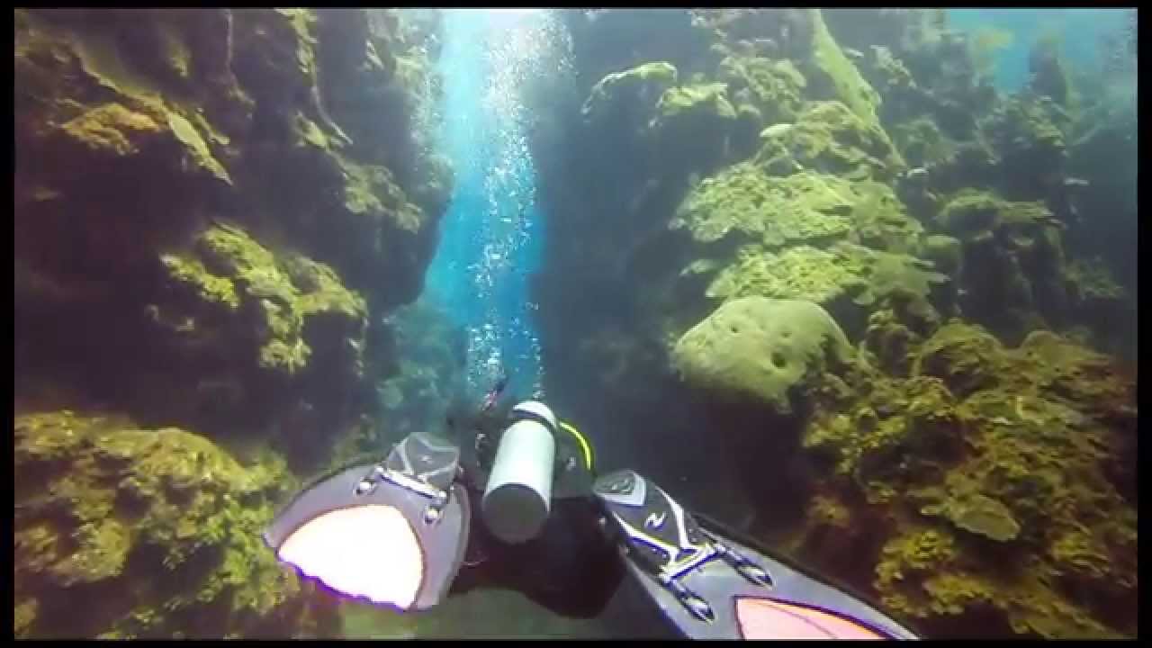 Roatan Suba Diving Bananarama Part 1 - YouTube