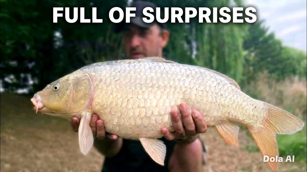 Never lets me down.#carp #fishing #fishinguk #fish #viralvideo - YouTube