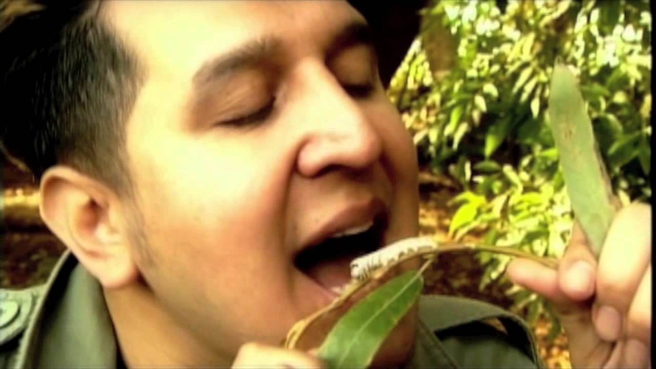 Strangely Attractive w/MAGIC performed by CHRIS GONGORA - Don't Blame ...