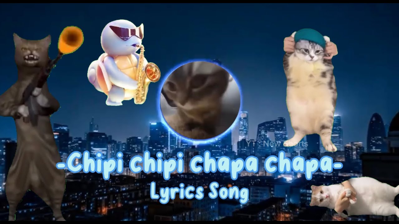 Chipi chipi chapa chapa (Lyrics Song Memes) - YouTube