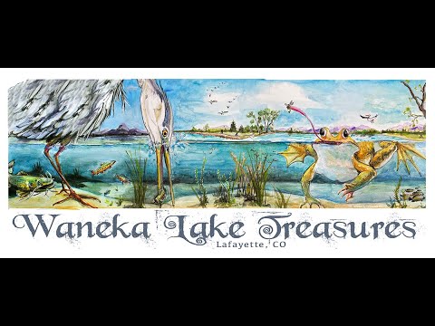 Waneka Lake Treasure: A mural celebrating Biodiversity - YouTube