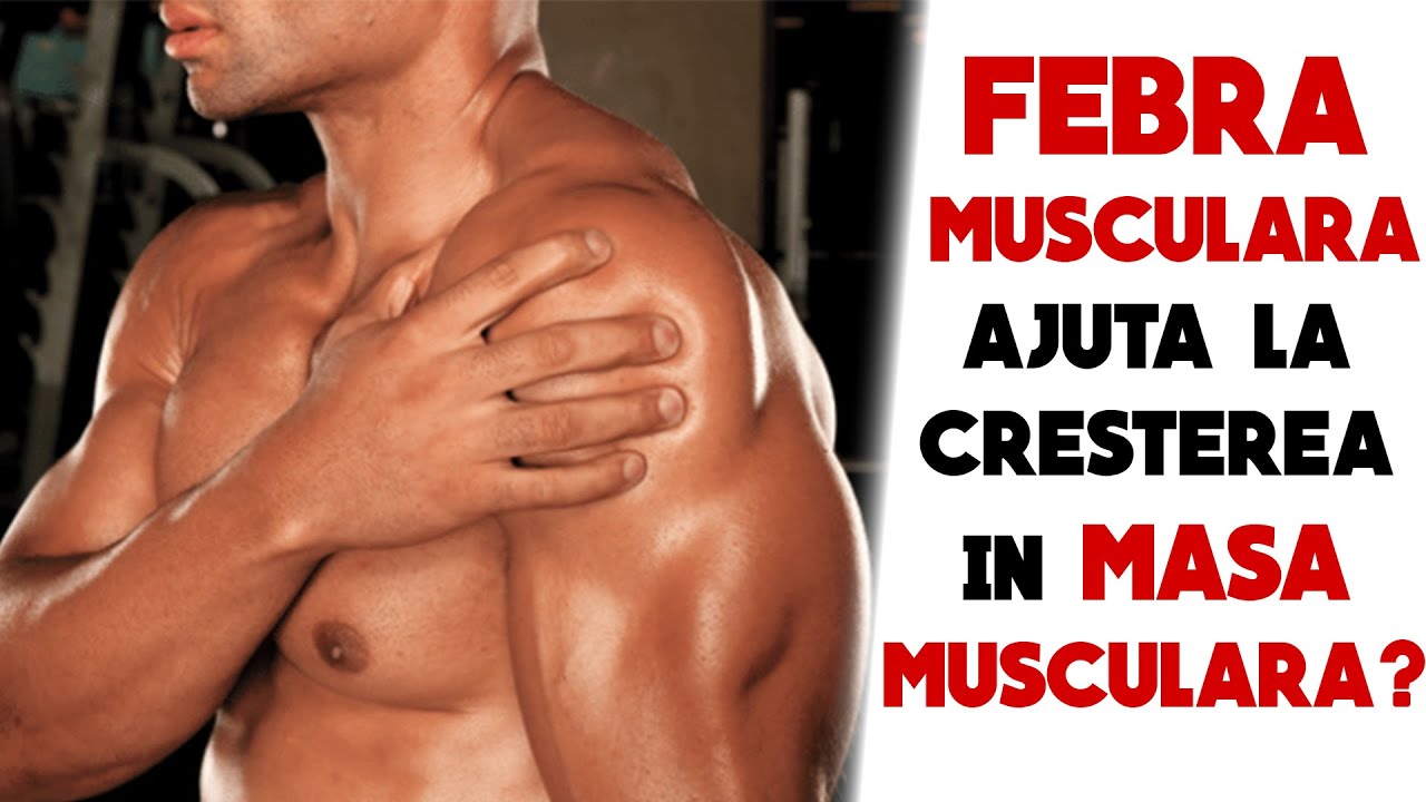 Febra Musculara si cresterea in Masa Musculara - YouTube