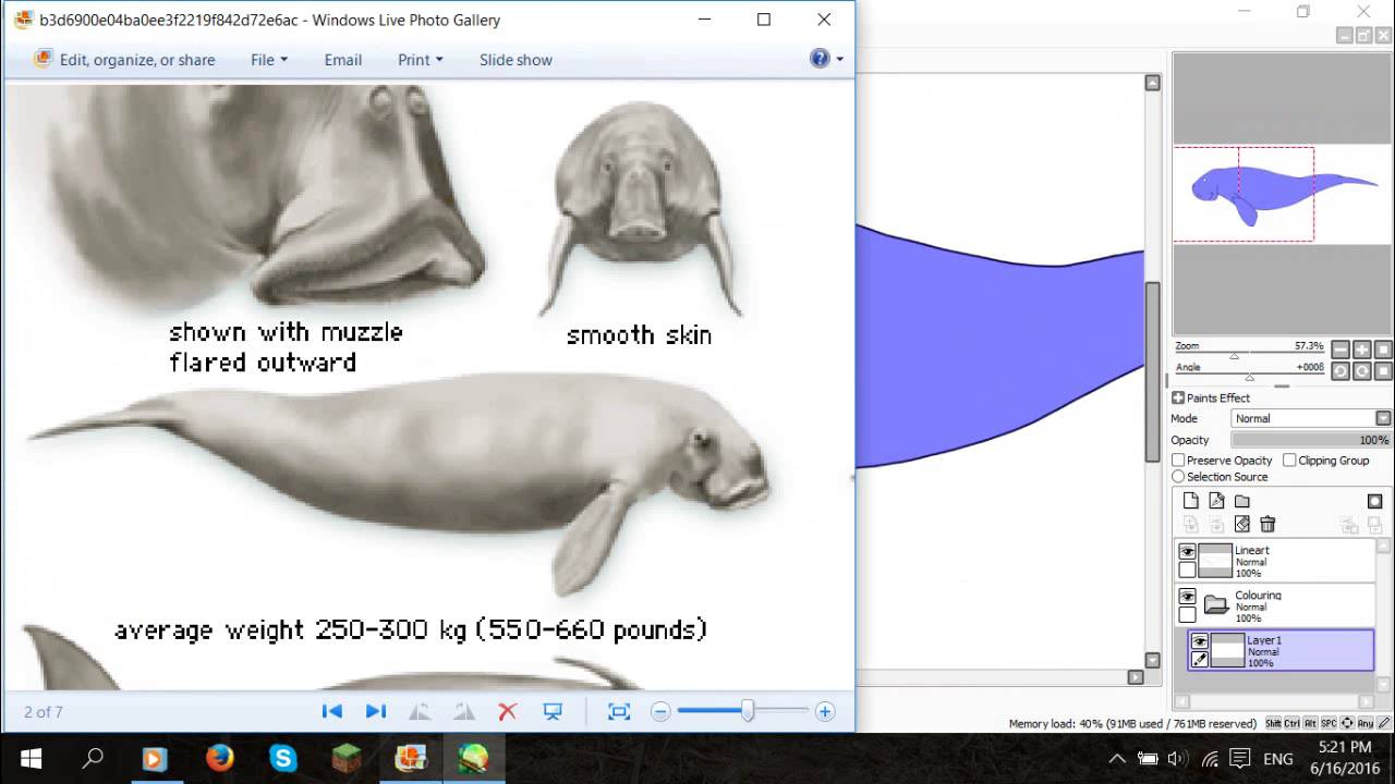 How I Draw A: Dugong (request) - YouTube