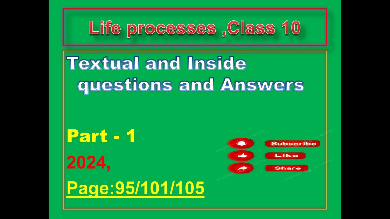 Life Processes ,Class 10 //Textual and Inside questions and Answers ...