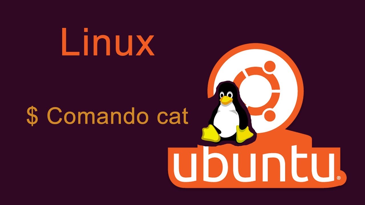 Comandos Linux: O comando cat - YouTube