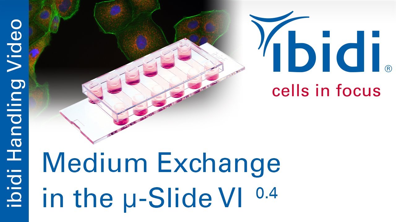 Medium Exchange in the µ-Slide VI 0.4 - YouTube