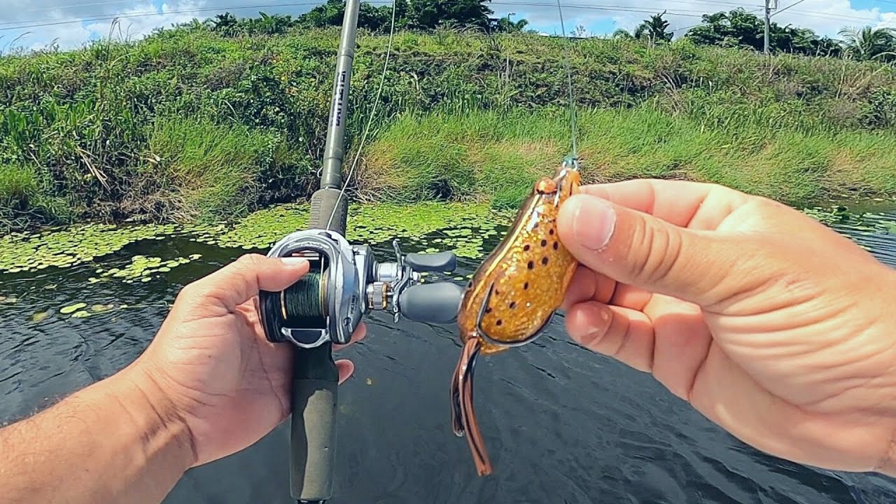 Gran Pesca Con La Rana | Muchos Enganches - YouTube