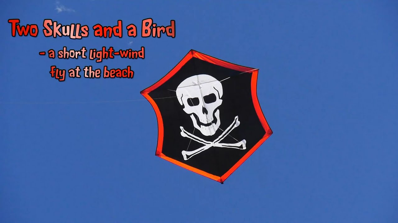 Two Skulls and a Bird: light-wind kite-flying at the beach - YouTube