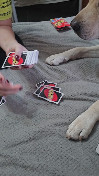 UNO with Troy 🃏 - YouTube
