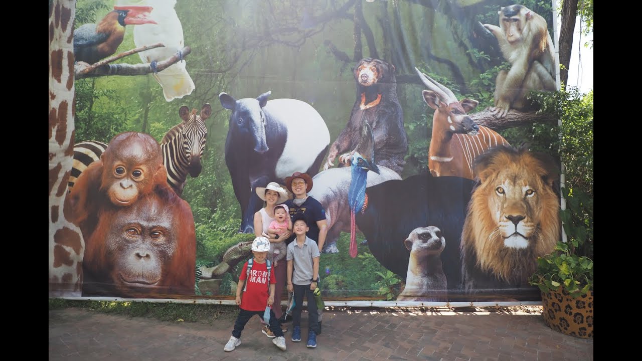 Avilon Zoo Visit - YouTube