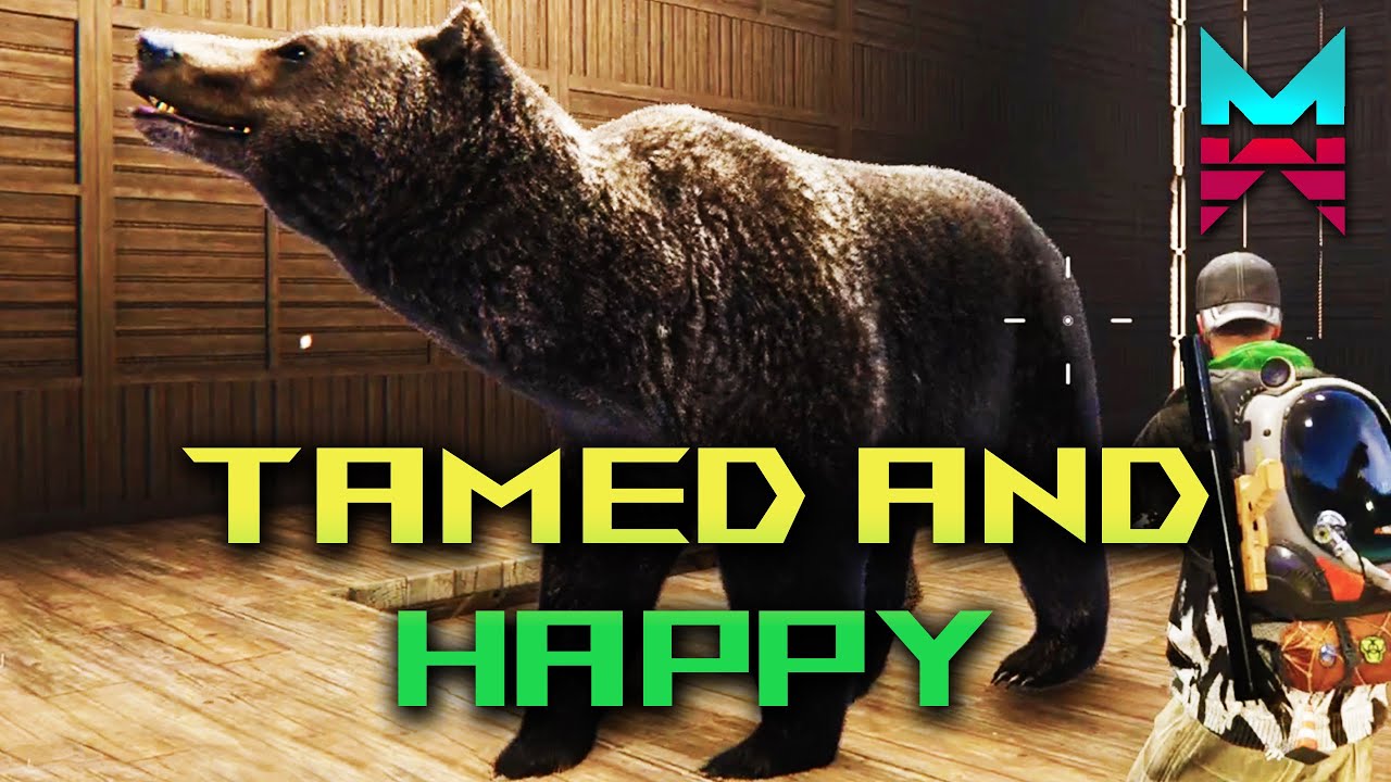 My Bears And Wolves Are Tame Now Follow Up to My Taming Animal Guide ...