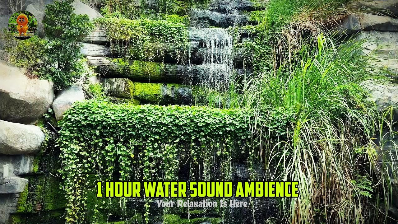 🌳 Beautiful Waterfall Sounds & Birds Chirping | 1 Hour Relaxing Nature ...