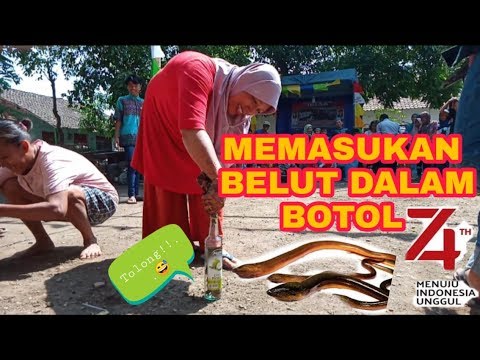 LOMBA MASUKIN BELUT DALAM BOTOL