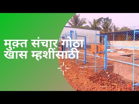 मुक्त संचार गोठा खास म्हशींसाठी || Mukta Sanchar Gotha for buffaloes ...