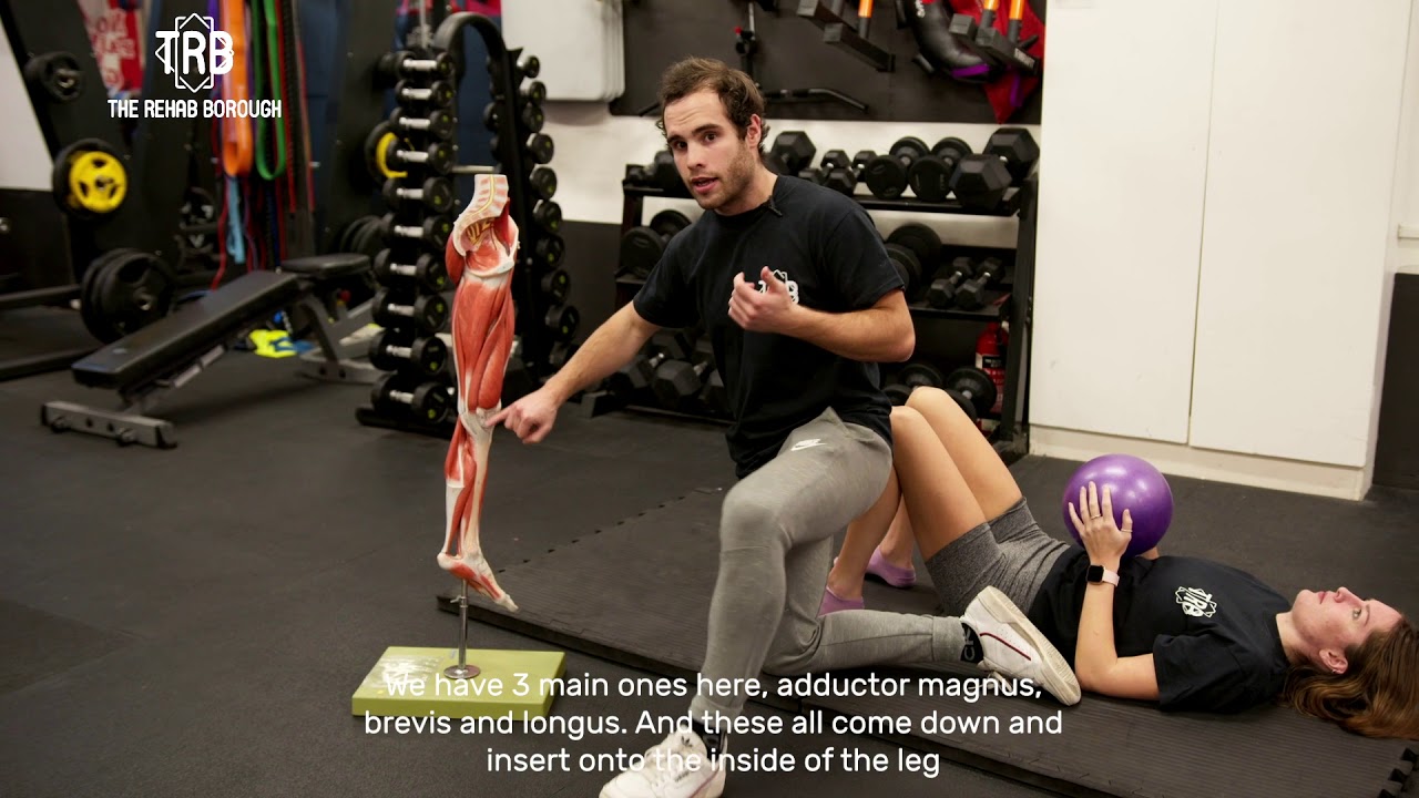 Fix Groin Pain (Adductor Tendinopathy) - YouTube