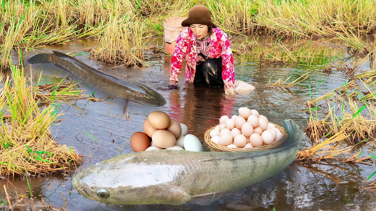 Cute Girl Catch Frogs, Snails And Fish for Food in Her Family | San ...