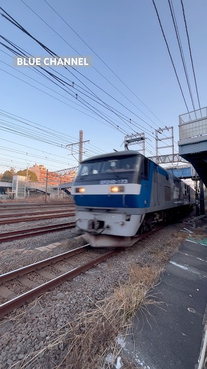 (貨物列車) 2025/03/01 2059レ EF210-173 + コキ20B カンガルーライナーSS60 (陸前山王〜吹田タ) #Shorts - YouTube