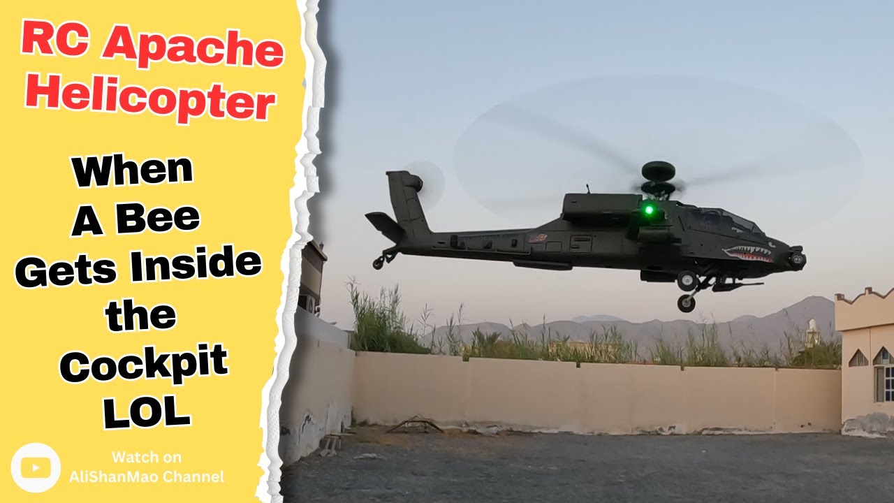 Yuxiang F11 RC Apache Helicopter Yard Flight – Bees in the Cockpit! LOL ...