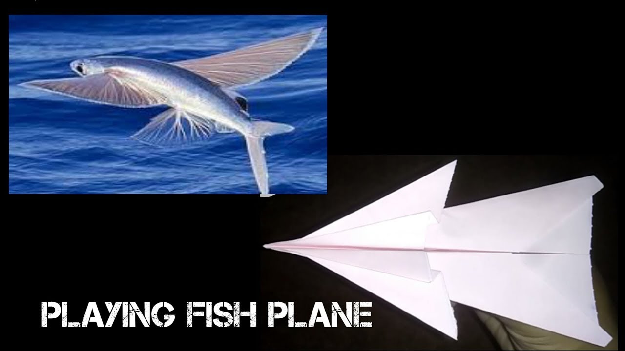 Pesawat origami Ikan terbang | flaying fish plane - YouTube