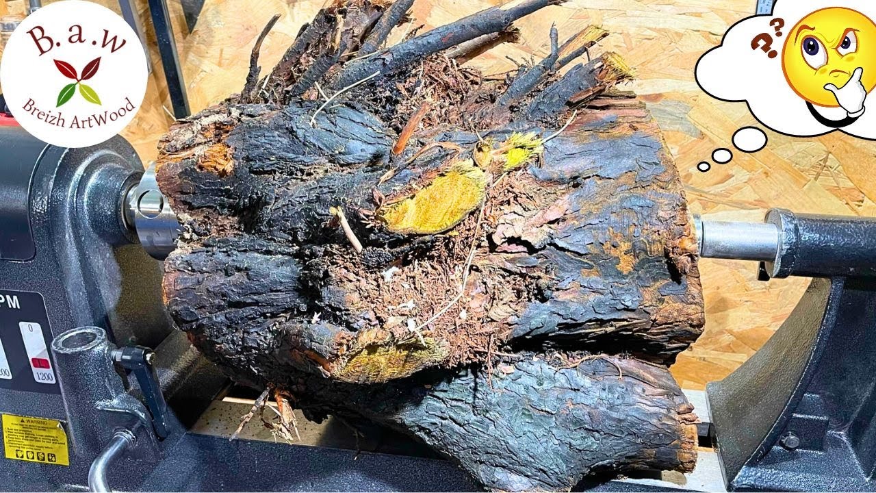 Woodturning : In this half burnt cedar log lies a treasure😳 - YouTube