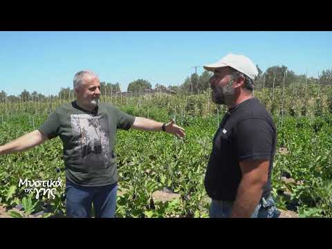 ΤΑ ΜΥΣΤΙΚΑ ΤΗΣ ΓΗΣ S01.EP05 | ΜΕΛΙΤΖΑΝΑ - YouTube