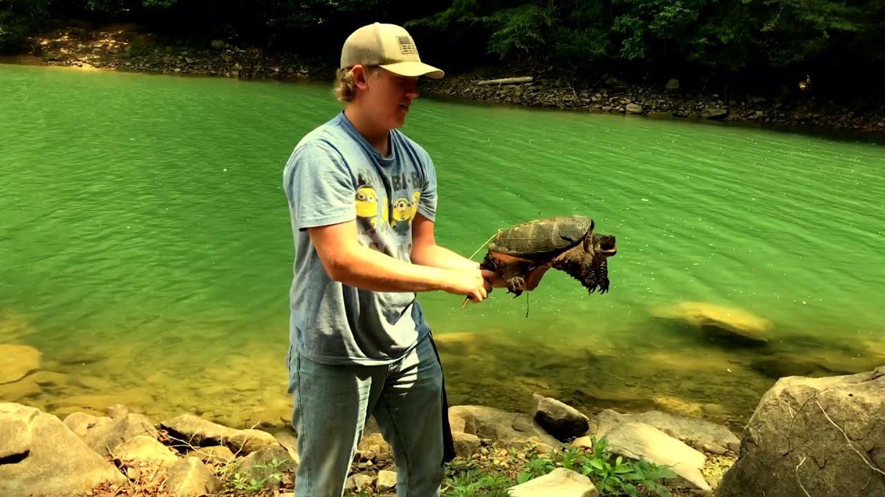 How to catch snapping turtles - YouTube