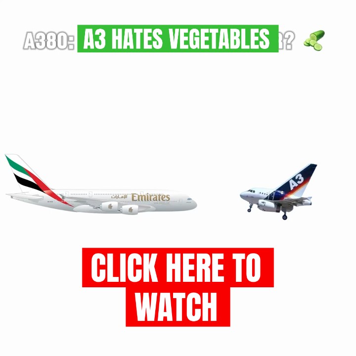 A3 hates vegetables #boeing #airbus #aviation #meme #avgeek #edit #A388 ...