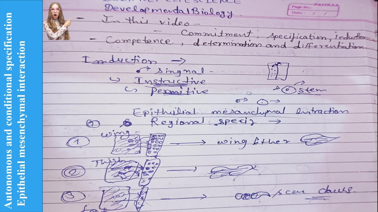 commitment,specification, induction, competence, determination ...