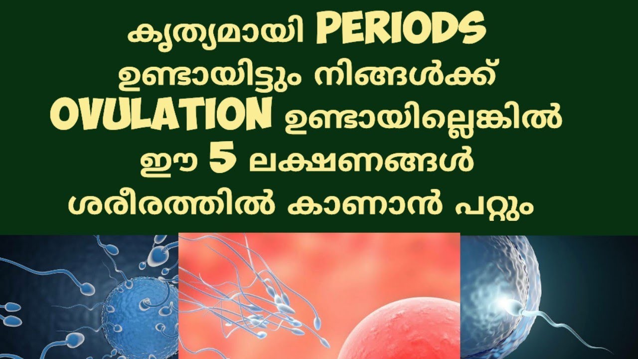 Symptoms of No Ovulation|| Deechus World|| Malayalam - YouTube