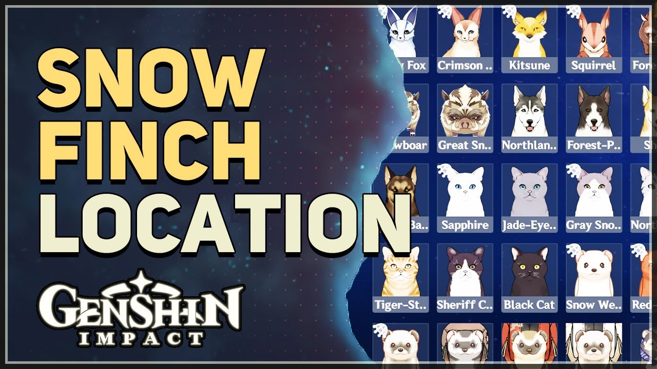 Snow Finch Location Genshin Impact - YouTube
