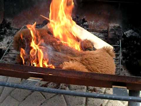 Burning Bear - YouTube