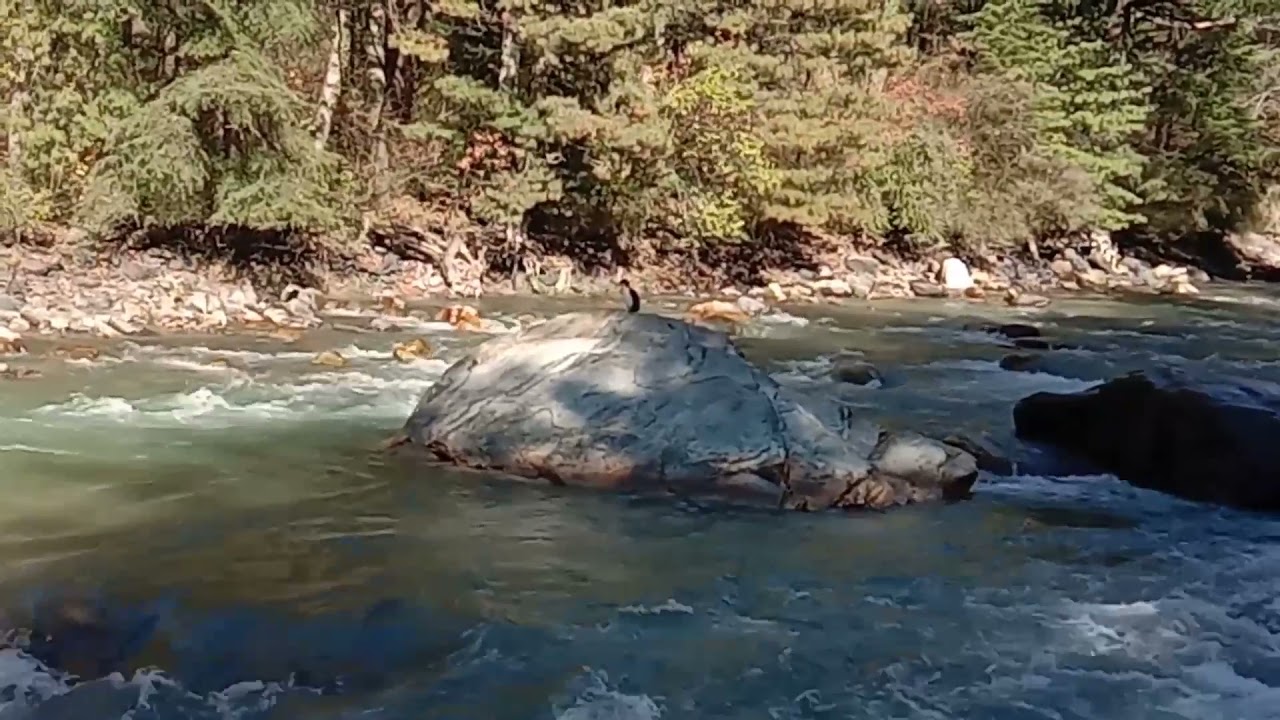 MOKSHA RIVER SIDE KASOL - YouTube