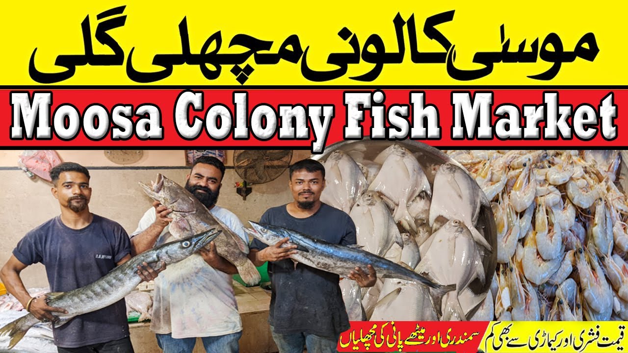 Moosa Colony Fish Market | Oldest Fish Market in Karachi | Wholesale ...