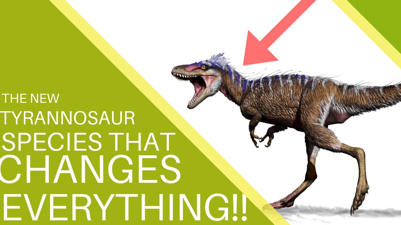 Dino File: Teeny T-Rex Relative Discovered In US!! (Moros Intrepidus ...