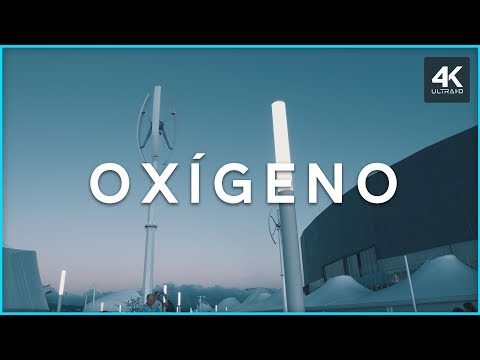 Oxigeno - Human Playground - Heredia, Costa Rica