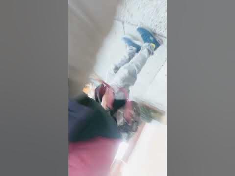 Hon DIPO 4 de diciembre de 2023 - YouTube