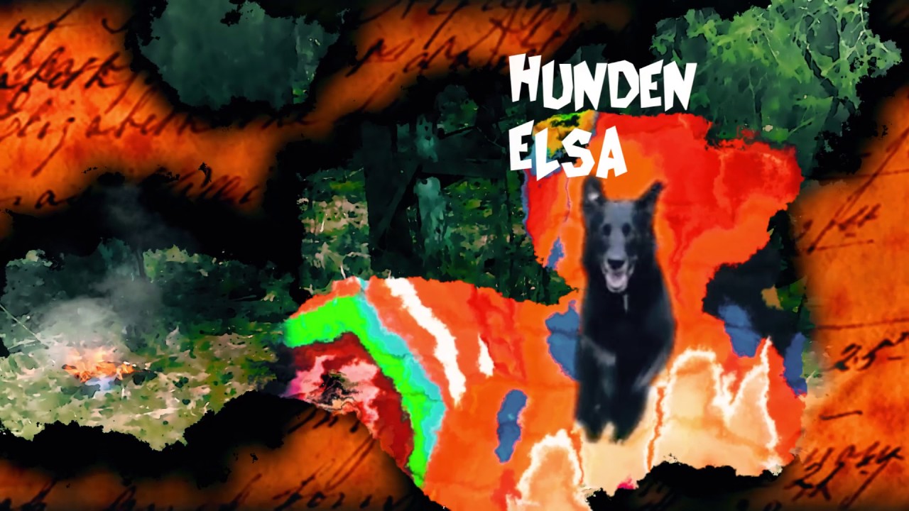 Elsa The Dog! - YouTube