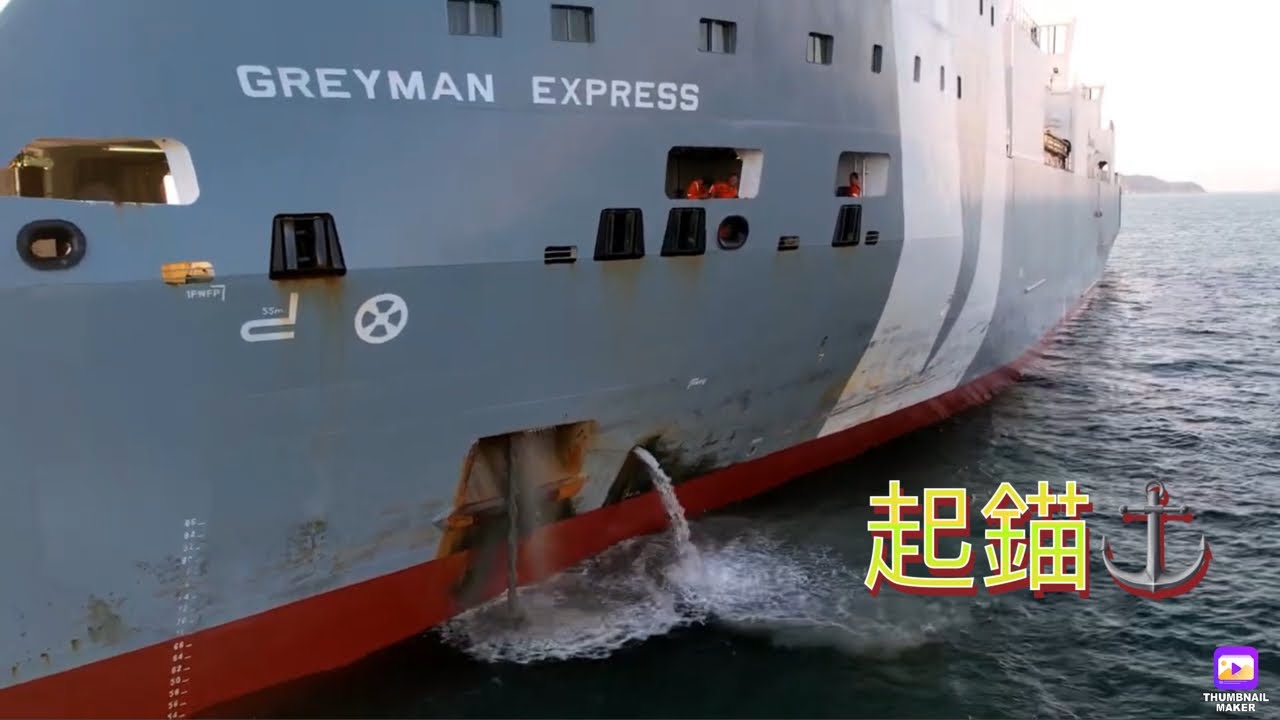 《海岸偵察隊》牲畜運載船 livestock carrier, Greyman Express 起錨離港 - YouTube