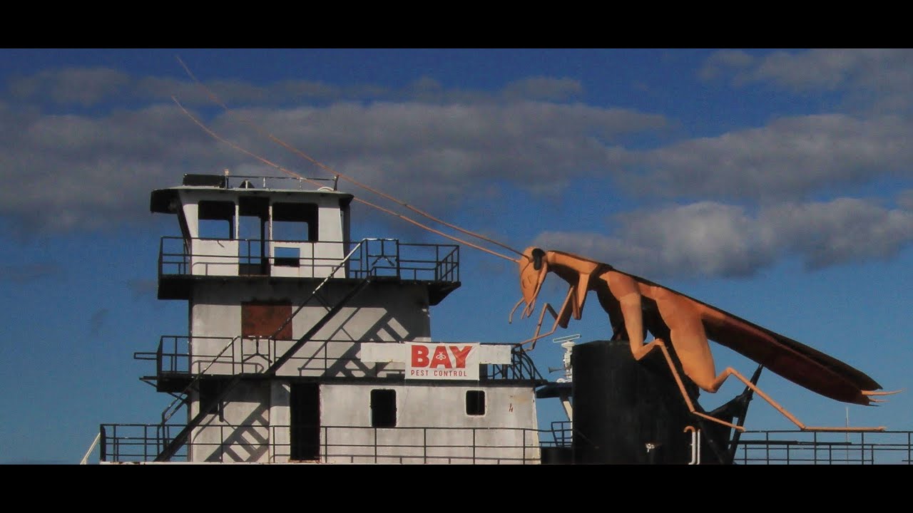 2024Nov25 CockRoach Reef Deployment Early Short - YouTube