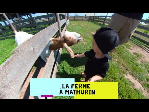 Vlog La Ferme à Mathurin ( Lévis, Québec ) - YouTube