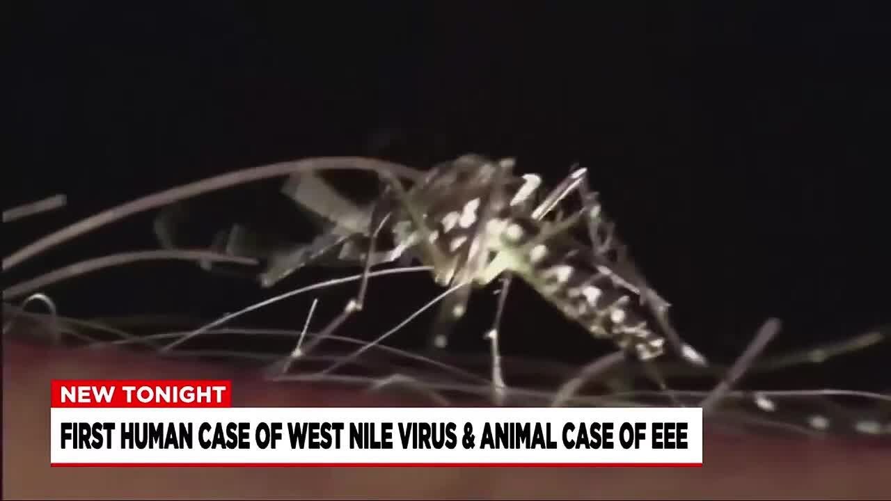 First human case of West Nile virus, animal case of EEE in ...