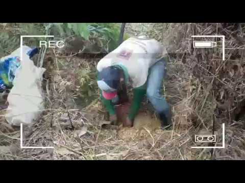 Viral kisah sedih Harapan adik kepada kk. yang bikin terharu