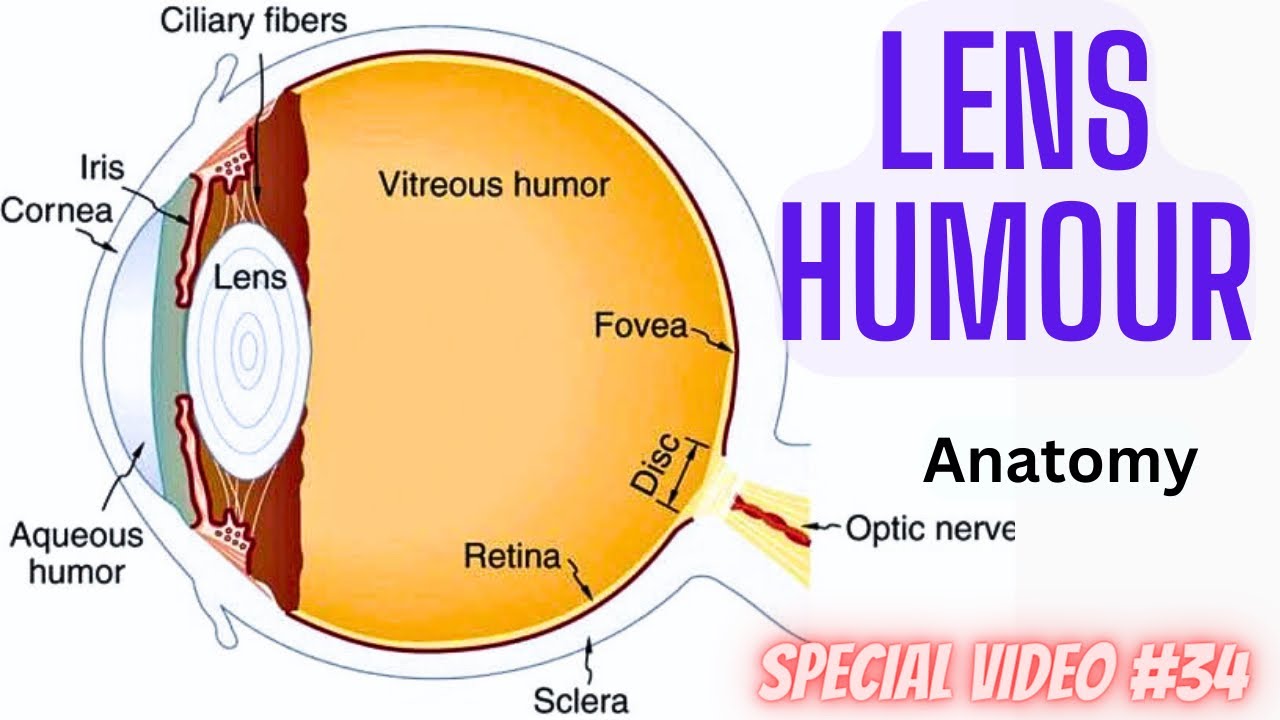Humour & Lens anatomy in details. Special video part 34 #drtechvlogger ...