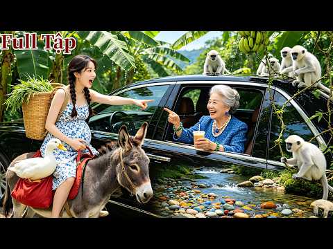 Bà bầu cưỡi lừa chặn xe sang hỏi đường,  Không ngờ bà nội CEO vừa nhìn đã chọn cô làm cháu dâu!