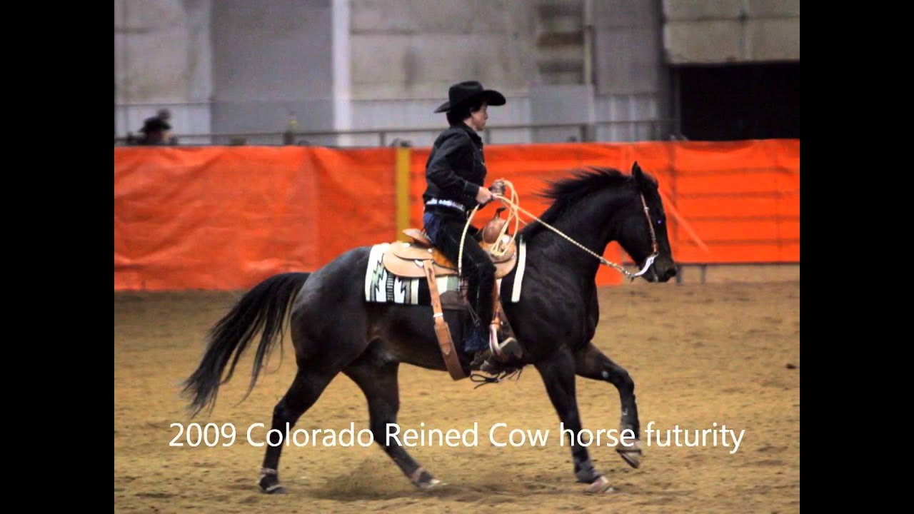 Alison and her Horses - YouTube