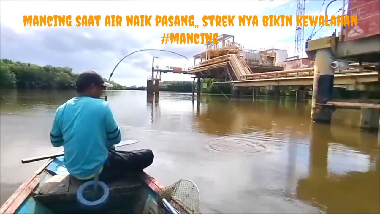 Mancing saat air naik pasang,, Strek nya bikin kewalahan #mancing - YouTube