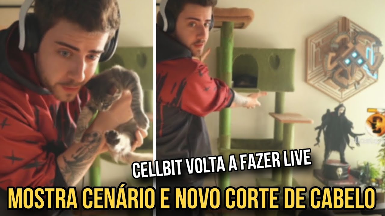 CELLBIT VOLTA a fazer LIVE com NOVO corte de CABELO e CENÁRIO NOVO - YouTube