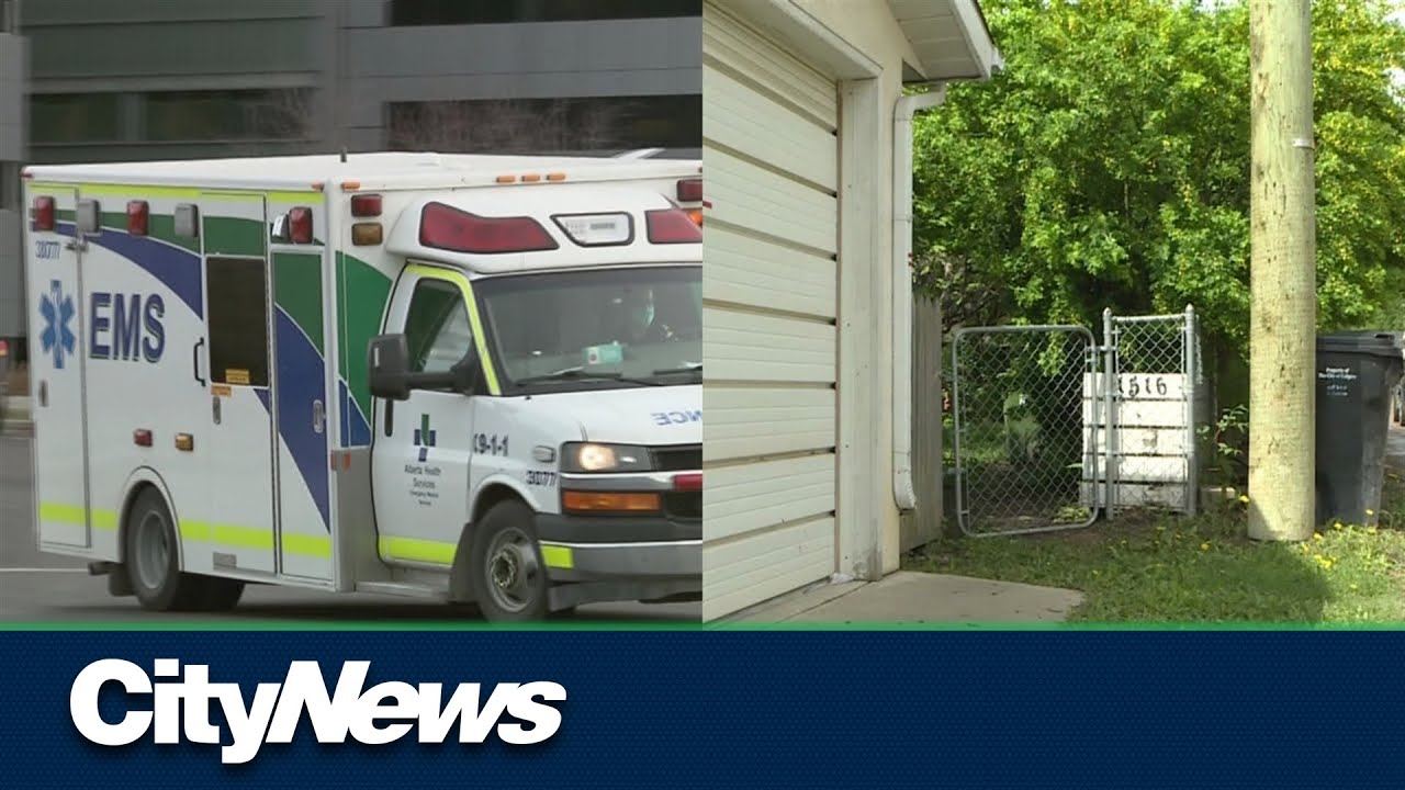 AHS reveals response time challenges in fatal dog attack in Calgary ...