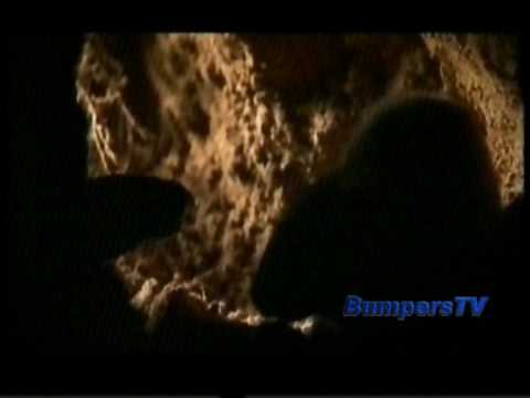 ID de Animal Planet - 2008 [1] - YouTube